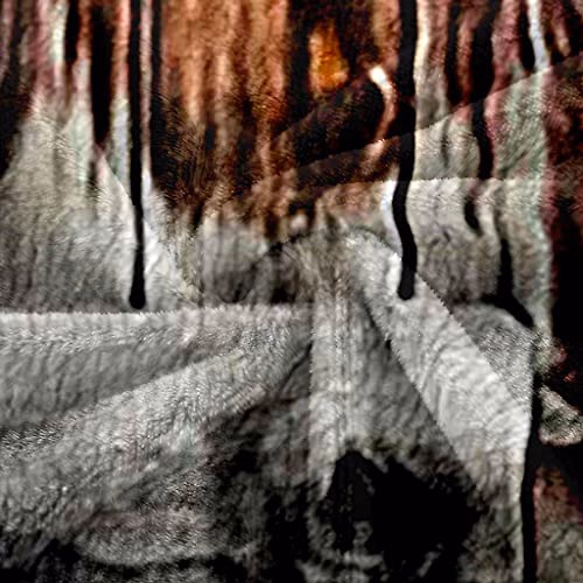 NARBOR Soft Fleece Throw Blanket - Fluffy Microfiber Solid Blankets for Bed and Couch Double/Single Size - 59X79Inch Arched Wooden Door Printed Flannel Blanket for Bed, Couch and Sofa