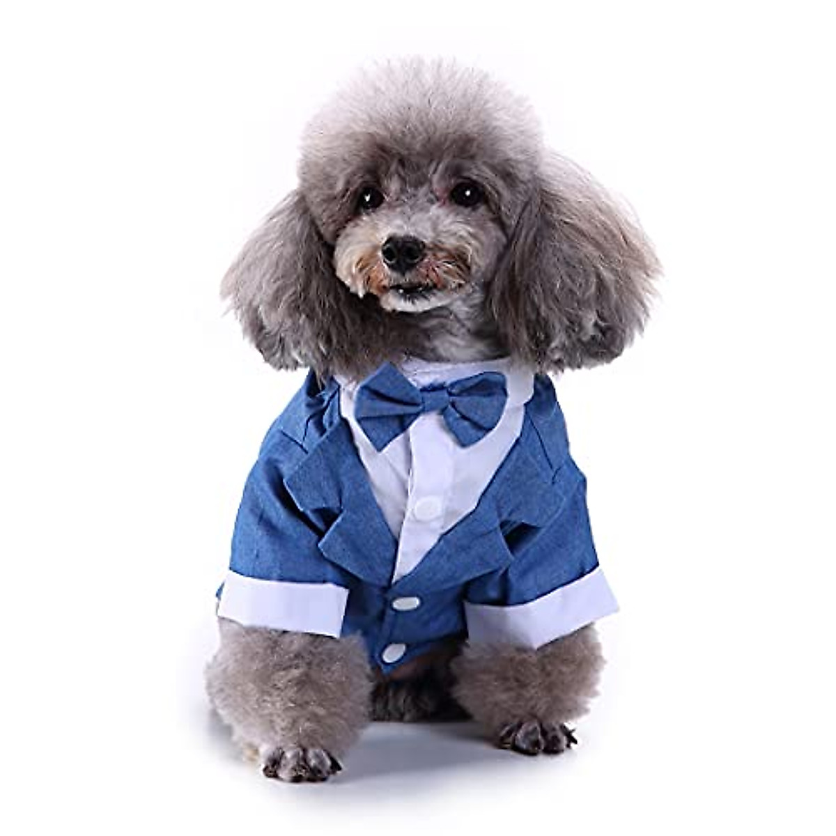 Dog Blue Tuxedo, Dog Formal Clothes, Puppy Wedding Tux, Small Dog Suit and Tie, Business Suit for Dog Blue Large