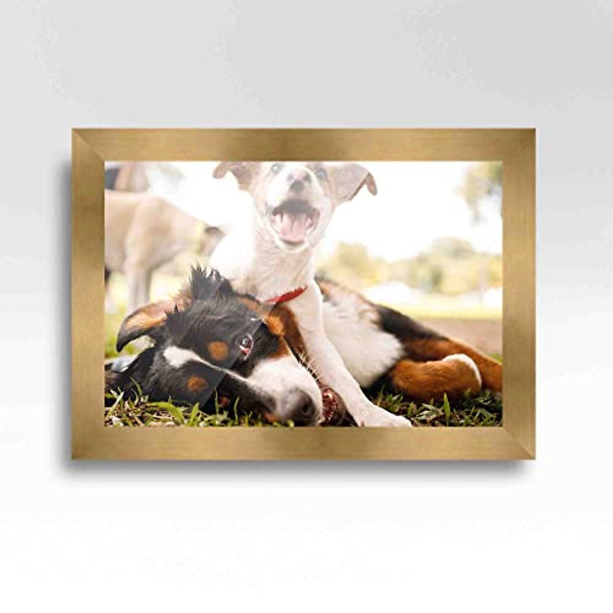 12x16 Wide Bronze Real Wood Picture Frame Width 1.5 Inches | Interior Frame Depth 0.5 Inches | Bronzo Wide Modern Photo Frame Complete with UV Acrylic, Foam Board Backing & Hanging Hardware