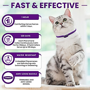 TriOak 4 Pack Calming Collar for Cats, Cat Calming Collar, Calming Pheromone Collar for Cats, Cat Pheromone Collar, Cat Calming Collar for Anxiety, Efficient Relieve Anxiety Stress (Purple)