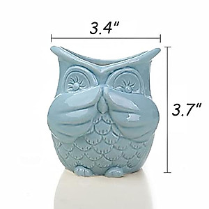 YONGYAN Owl Flower Pot Statue Decoration Ceramics Garden Planters Containers Pot Bookshelf Office Desktop Decor (Blue)