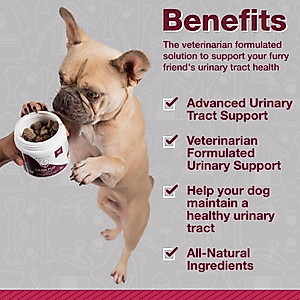 Pawlife Cranberry Supplements for Dogs| Urinary Tract & Bladder Support| D Mannose & Antioxidants for Support| 120 Veterinarian Formulated Soft Chews| Up to 4-Month Supply