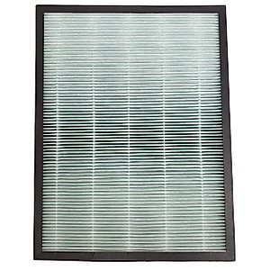 Nispira True HEPA Filter + Activated Carbon Pre Filter Kit Set Replacement Compatible with Rabbit Air BioGS 2.0 Ultra Quiet Air Purifier Model SPA-550A and SPA-625A, 1 Pack