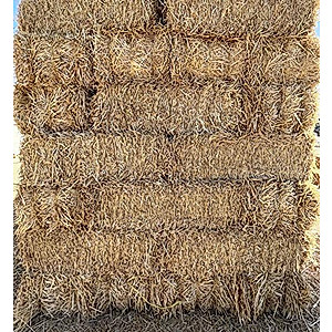 AA Plus Shop 100% Natural Wheat Straw Grass, Animal Bedding and Farm Wheat Straw (4LB)