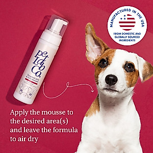 Petlab Co. Itch Relief Mousse - Moisturize, Deodorize, & Support Dry Skin with This Dry Dog Shampoo. Unique Quick-Dry Formula Delivers Support to Promote Coat Comfort