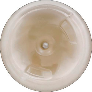 Love Beauty and Planet Shampoo with Vitamin B3 Coconut Oil & Ylang Ylang for Intensive Repair for Damaged Hair Sulfate, Silicone, & Paraben Free. Cruelty-Free. 13.5 oz