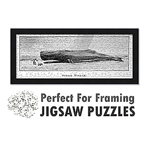 12x5 Frame Black Picture Frame - Complete Modern Photo Frame Includes UV Acrylic Shatter Guard Front, Acid Free Foam Backing Board, Hanging Hardware Wood Wall Frames for Family Photos - no Mat