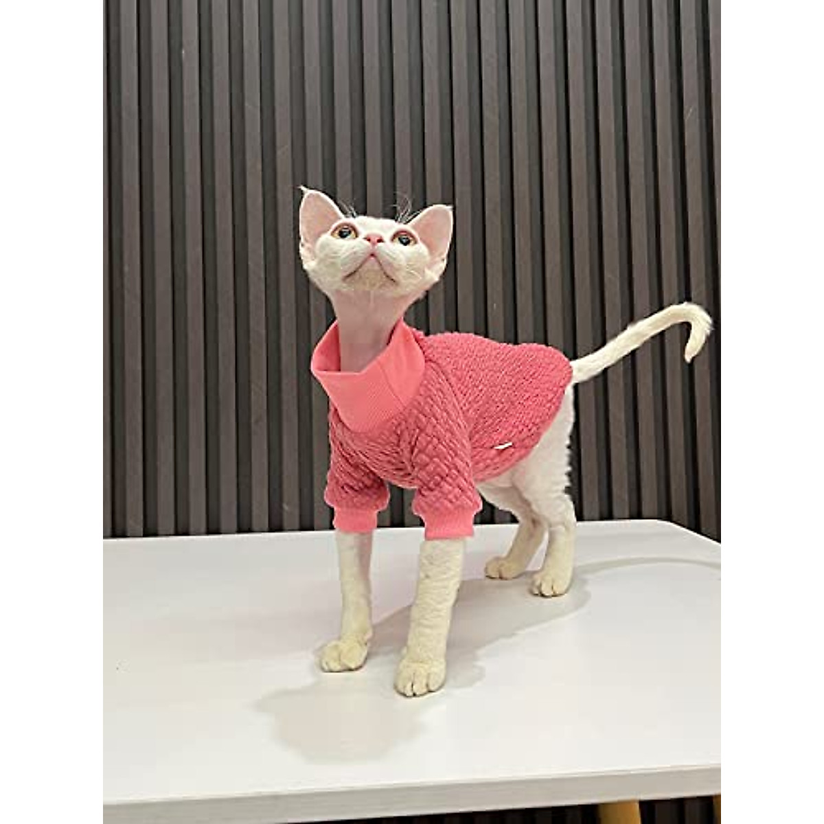 Sphynx Hairless Cat Clothes Autumn Solid Color Turtleneck Sweater Soft Warm Elasticity Pullover Cat Apparel Pet Clothes (M(4.4-5.5lbs), Rose red)