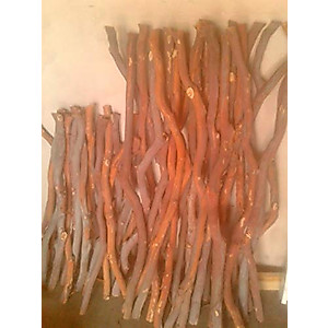 Manzanita Perches Five Pack 24" Two Feet Long