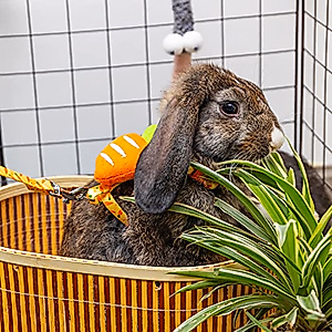 ORZECHKO Rabbit Harness and Leash - Adjustable Bunny Harness Escape Proof for Walking Runnig Hiking Camping Outdoor - Yellow Carrot Pattern Cute Small Animal Harness Leash Set