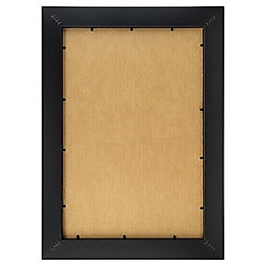 Craig Frames 16x20 Black Picture Frame, 1" Smooth Finish, Matte Poster Display