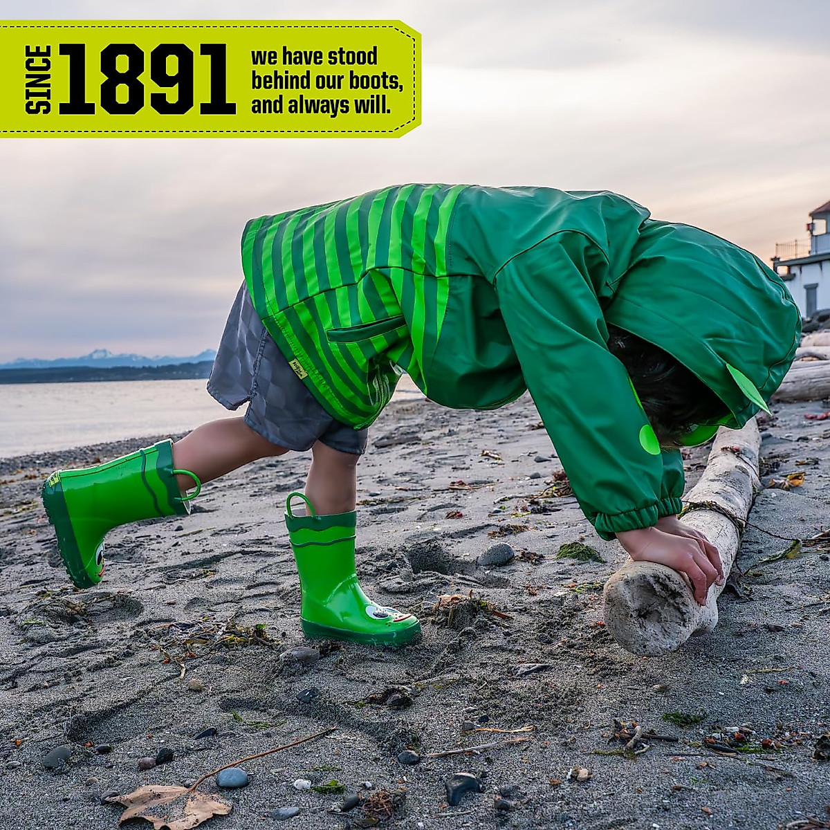 Western Chief Boys Waterproof Printed Rain Boot with Easy Pull on Handles - Fritz the Frog, 4 M US Big Kid