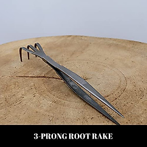 Tinyroots Tool Kit for Bonsai - 3 Piece Set Includes: Traditional Butterfly Shaped Bonsai Shears, Genuine Japanese Hemp Broom, Three Pronged Rake & Bamboo Storage Case + Bonsai Tools