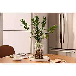 Ball 64 ounce Jar, Wide Mouth, Set of 2