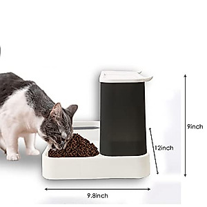 Koquena 2 in 1 Automatic Feeder Dog Water Fountain Pet Gravity Self Feeding Food and Water Dispenser for Small Medium Big Pets Grey