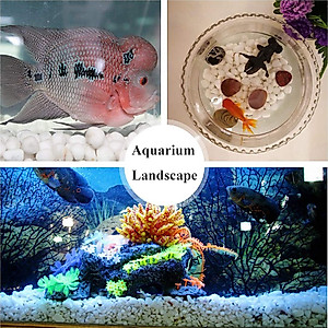 JZMYXA Aquarium Decorative Sands White Gravel Pebbles Fit for Aquariums Succulent Plants Terrarium Landscape, 2 Pounds