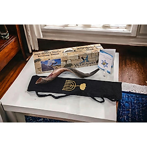 SHOFAR Set Half Polished Half Natural Kudu Horn Yemenite + Bag + Spray + Guide + Carrying Box Case (30"-32") From Israel