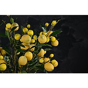GiDiProtea Artificial Lemon Branch Yellow Vivid Artificial Fake Lemon Flower Home Party Garden Decoration 2Pcs 7 Lemons