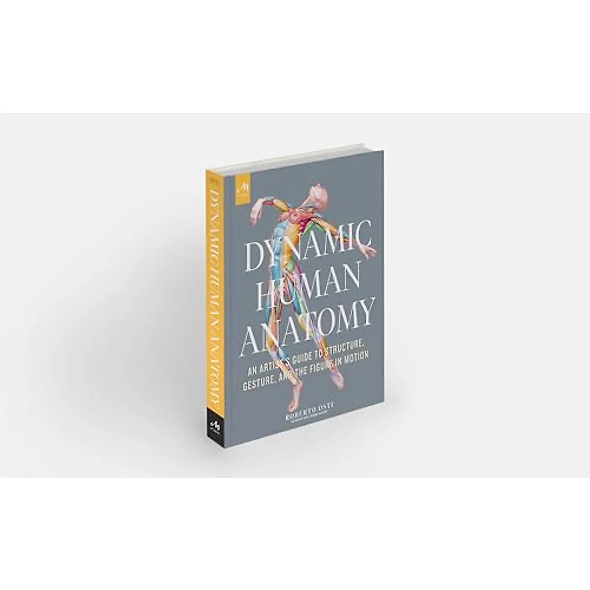 Dynamic Human Anatomy: An Artist's Guide to Structure, Gesture, and the Figure in Motion
