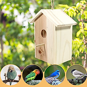 Pintuson 2 Pack Window Bird Houses for Viewing, See Through Bird House for Window, Transparent Spy Birdhouse for Outdoor, Wooden Bird Nest with Strong Suction Cups
