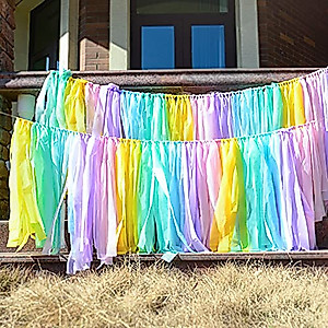 Melody Fantasy Ice Cream Party 200pcs Plastic Strips Streamer Backdrop Pastel Streamer Fringe Curtain Rainbow Backdrop Streamers for Girls Birthday Candyland Party Background Pastel Party Decorations