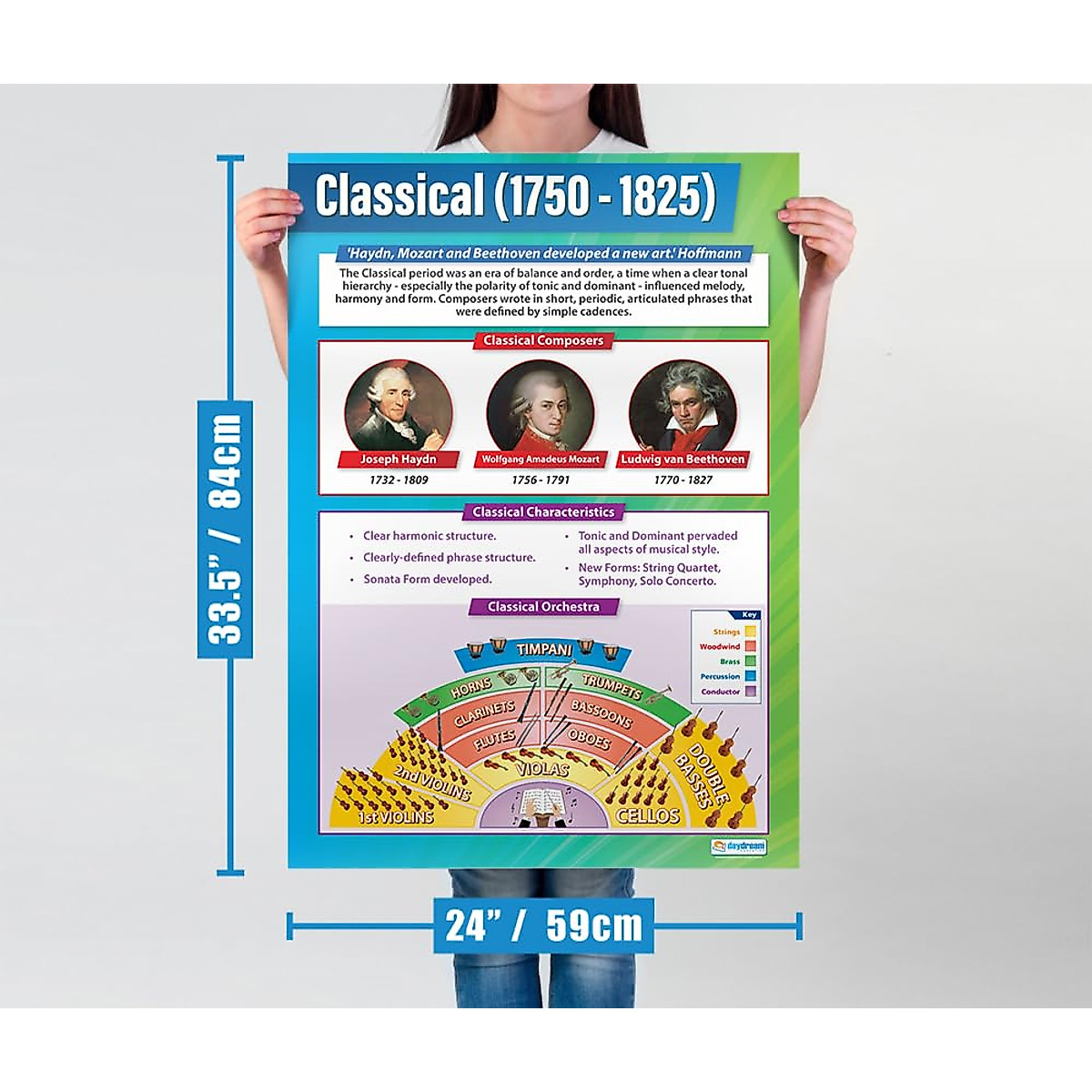 Daydream Education Classical Music History Poster - Laminated - LARGE FORMAT 33” x 23.5” -Music Classroom Decoration - Bulletin Banner Charts