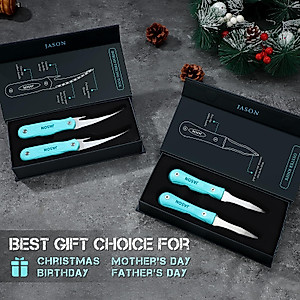 JASON Non-Slip Oyster Shucking Knife - 2 Pcs Stainless Steel Oyster Shucker Updated Clam Knife with Gift Box, Seafood Opener Tools Kit