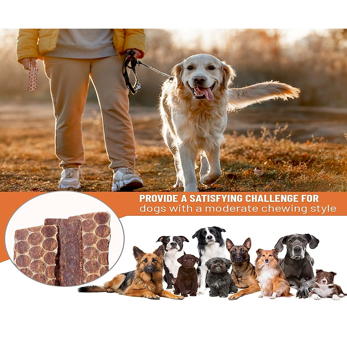 PETSamba 6-Inch Flat Beef Jerky Chews – 20-Pack, All-Natural Beef Esophagus Treats, Highly Digestible, Ideal for Dogs, Grain-Free & Non-GMO