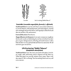 African American Herbalism: A Practical Guide to Healing Plants and Folk Traditions