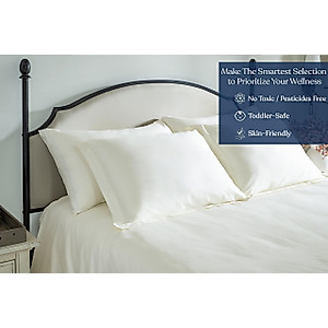 Delara GOTS Certified 100% Organic Cotton Duvet Cover Set 400TC, Long Staple Cotton, Ultra Soft, Silky, Moisture-Wicking, Smooth & Breathable, Duvet for Hot Sleepers with 8 Internal Ties