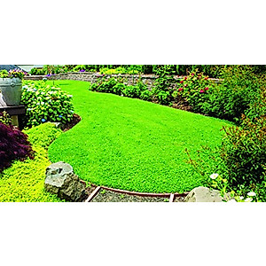 Microlawn Grass Seed & Microclover Mixture