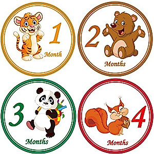 Baby Monthly Stickers 28 - First Year Stickers for Infant - Belly Stickers Boy Girl - Mount to Mount Birthday and all Hollidays - 4 inch diameter