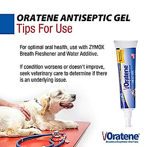 Pet King Brands ZYMOX Oratene Brushless Oral Gel for Dogs and Cats, 1oz