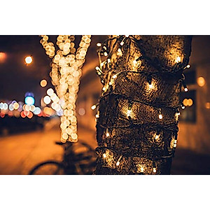 DecoBrite Warm White LED Battery Operated Christmas String Lights with 8 Modes Function 100 ct. 26ft (8m) Micro Bulbs on Green Wire Indoor Outdoor Holidays Patio Decoration (Warm White)