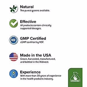 Graminex Alfalfa Tablets - Non-GMO Green Superfood Supplement with Vitamins, Minerals, Amino Acids - 240 Tablets