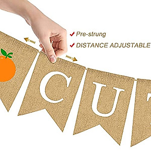 Burlap Little Cutie Banner Boy Girl Clementine Orange Baby Shower Birthday Party Decoration