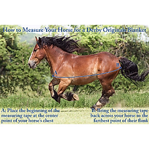 Derby Originals Nordic Tough 1200D Ripstop Waterproof Reflective All Season Mini Horse Pony Turnout Rain Sheet, Electric Blue, 48"