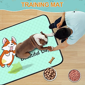 GOLOPET Washable Pee Pads for Dogs 47x32in 2-Pack Thick Reusable Puppy Pads Extra-Absorbent Prevent Leakage Non-Slip for Puppy Playpen, Crate, Whelping Box, Potty Training Reusable,Blue