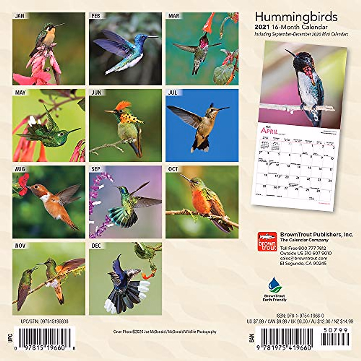 Hummingbirds 2021 Calendar: Foil Stamped Cover