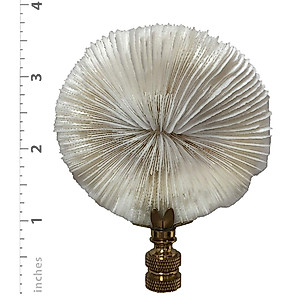 Royal Designs Natural Coral 3.75" Lamp Finial for Lamp Shade, White Mushroom Coral, Polished Brass Base - Set of 2
