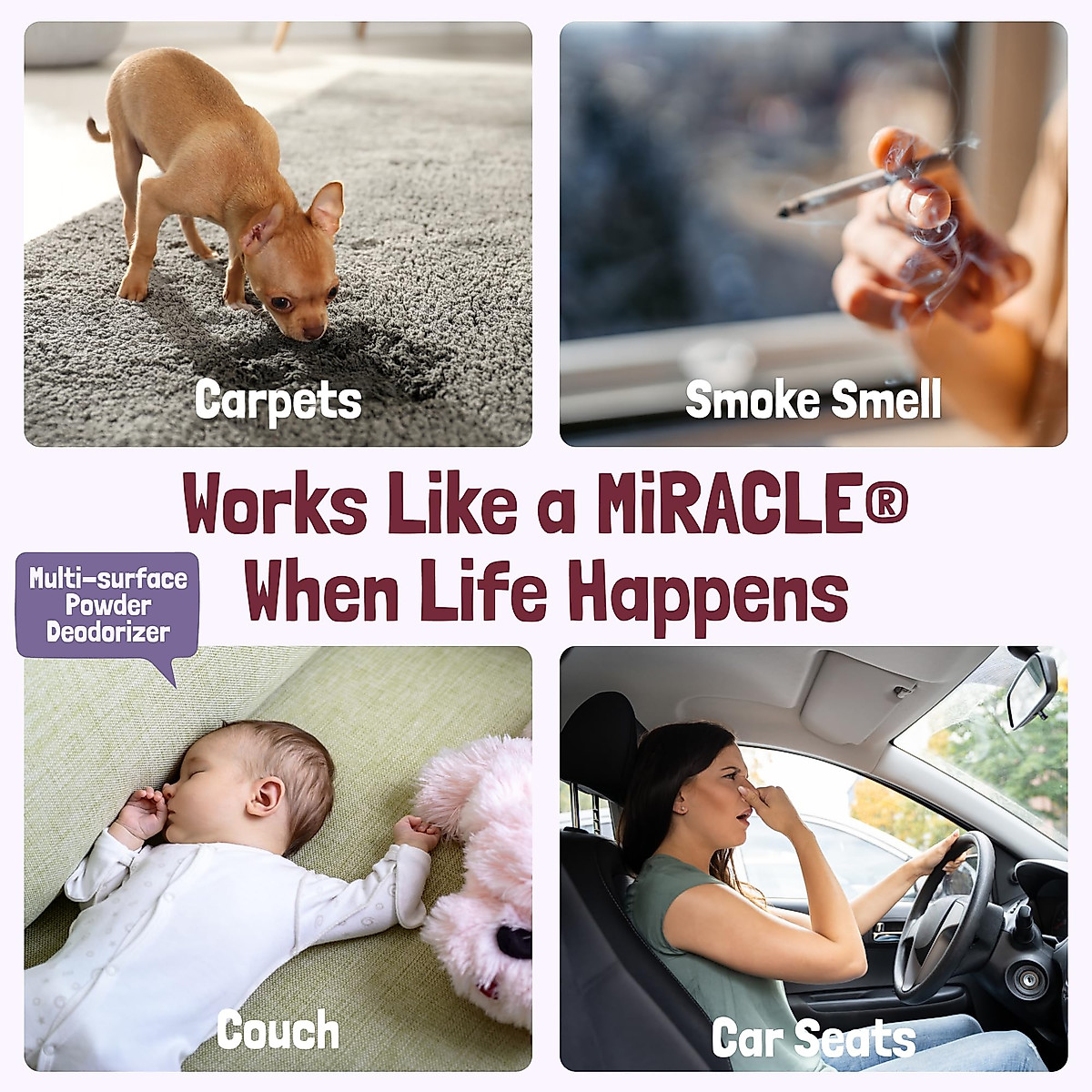 Sunny & Honey Carpet Miracle Powder - Dry Cleaner, Freshener & Deodorizer Powder for Kids & Pets (Wildberry Scent) - Carpet Cleaner & Upholstery Deodorizer