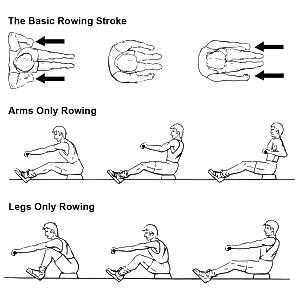 GYMAX Magnetic Rower, 8-Level Adjustable Resistance Rowing Machine with LCD Monitor, Indoor Cardio Exercise Rower for Home/Gym