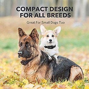 DOG CARE Dog Training Collar with Remote - Rechargeable Training Collar with Beep, Vibration and Shock Training Modes, Dog Collar for Large Medium Small Dogs, Rainproof E-Collar for Dogs