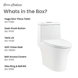Hugo One Piece Elongated Dual Flush Toilet 1.1/1.6 gpf