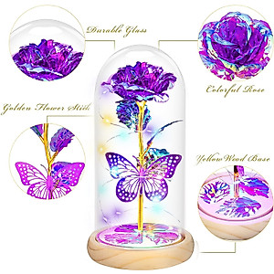 QUNPON Mothers Day Glass Rose Light Up Rose Gifts for Mom Women Birthday Gifts Colorful Rainbow Artificial Flower Rose Gift in A Glass Dome Valentines Mother's Day for Her Women