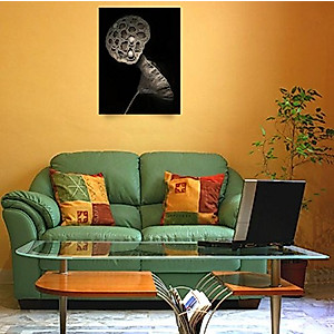 Imagekind Wall Art Print entitled Lotus Pods II by Dawn Leblanc | 36 x 47