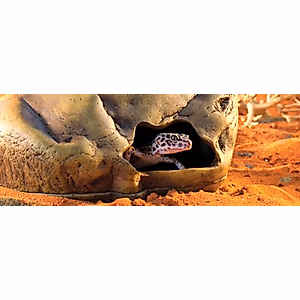 Exo Terra Gecko Cave for Reptiles and Amphibians, Large - Reptile Hideout to Help Alleviate Stress