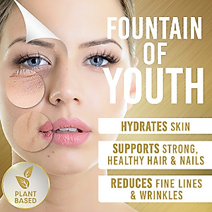 Gold Standard Organic Sulfur Crystals 6lb - 99.9% Pure MSM Crystals - MSM Powder Organic - 3rd Party Tested Sulphur