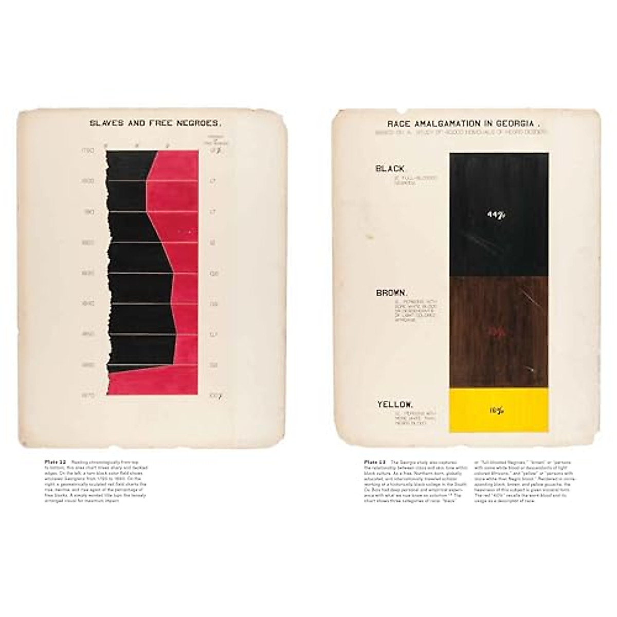 W. E. B. Du Bois's Data Portraits: Visualizing Black America
