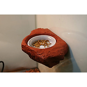 Magnaturals Small Worm Feeder Ledge Mojave Red - Magnetic Decor